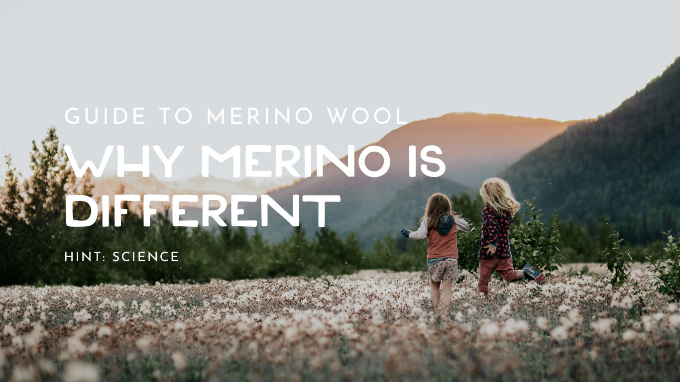 Guide to Merino Wool: Why Merino Is Different – Wildhaven Wools